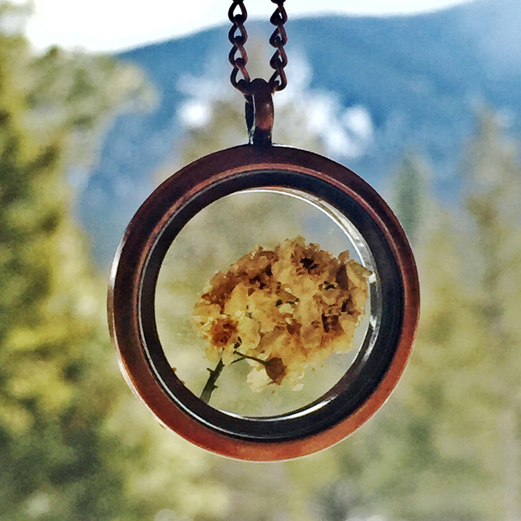 Montana Wildflower Living Lockets – Warbles with Bella